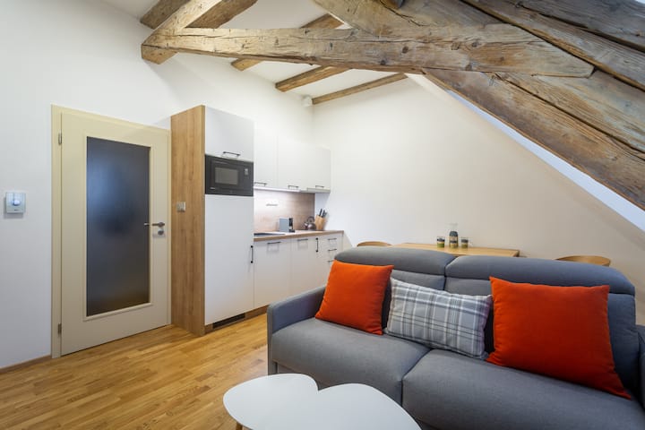 Simba Boží Dar By Mountain Ways - Oberwiesenthal