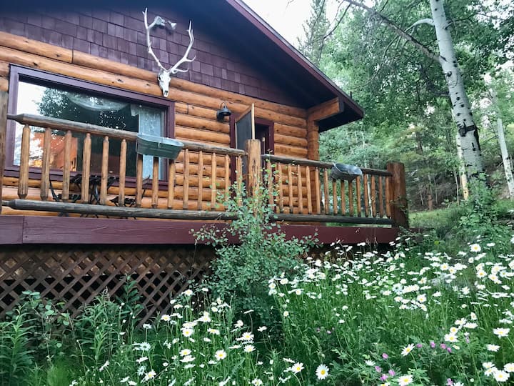 Colorado River Refuge Steps From The River - Colorado