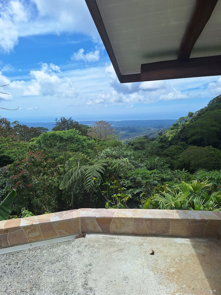 Casa Artista. - Palmar Norte