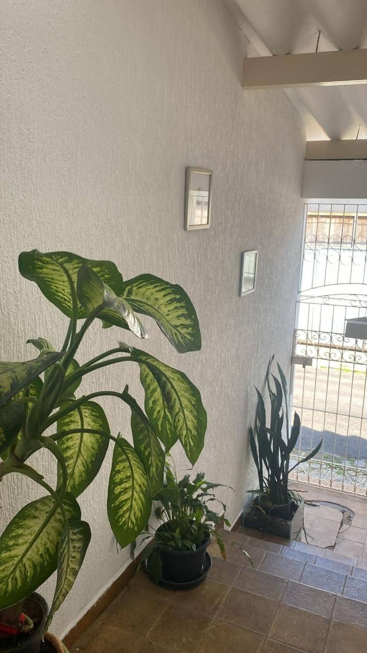 Edícula No Centro, Ao Lado Da Prefeitura E Estação - Poá