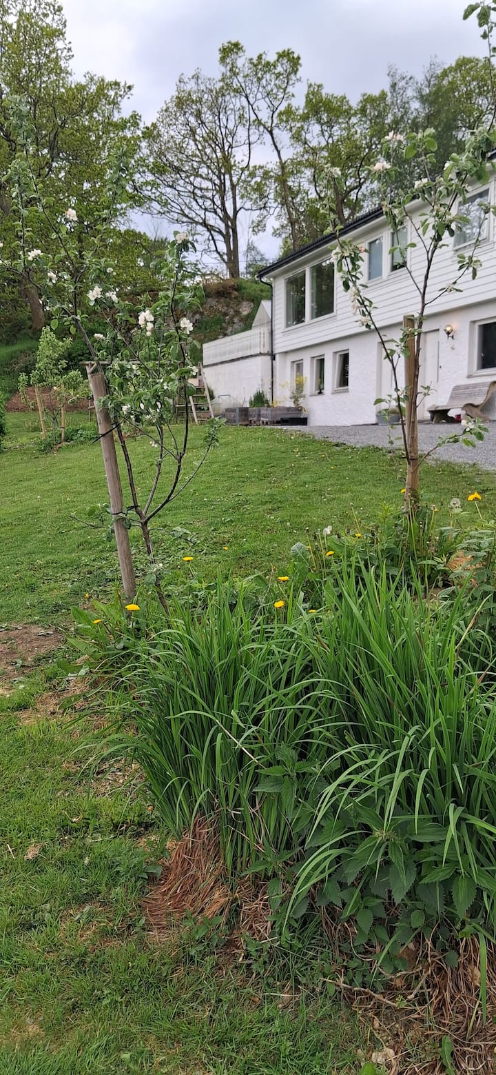 Enkel Og Fin Leilighet - Bergen