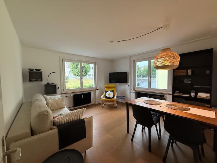 3 1/2 Zi-whg Mit 25m2 Terrasse, 10min Vom Bodensee - Bodensee