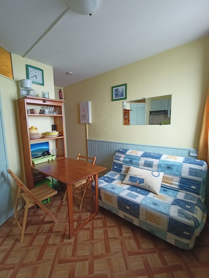 Charmant Studio Accès Pistes Et Gr10 - La Pierre Saint Martin