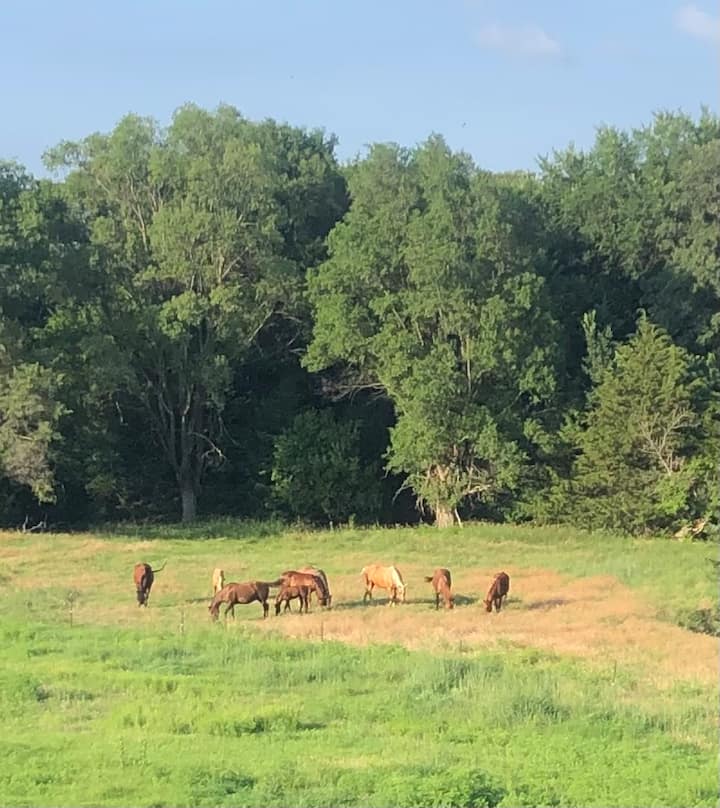 Peaceful Country Retreat - Nebraska