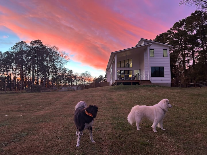 Clean Modern Dog-centric Stay - Big Fenced Yard - Durham, NC