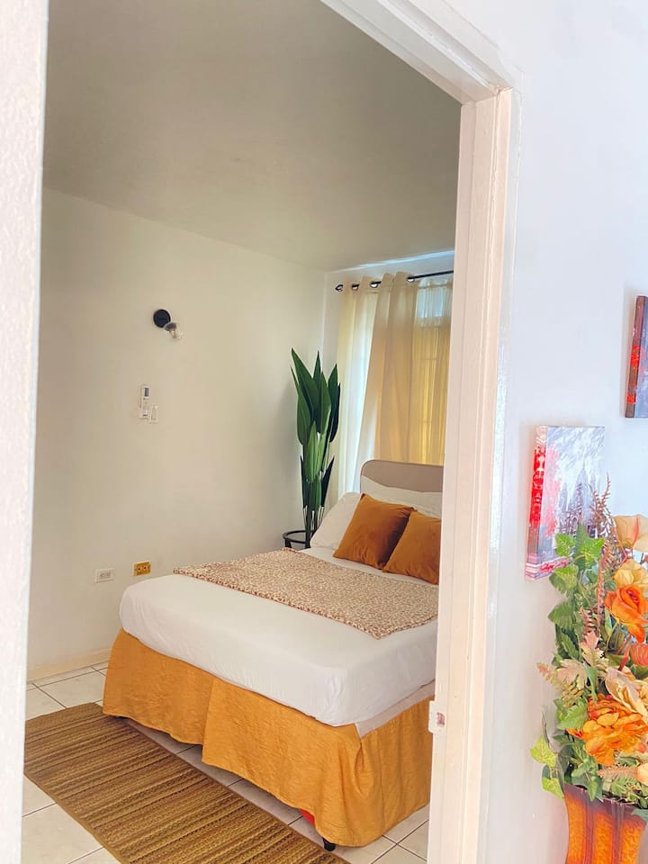 Cozy, Central 1bed 1bath Apt Kingston - 京士頓