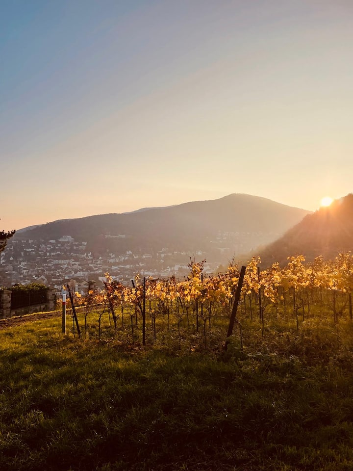 Neustadt Weinstraße - Die Toskana Deutschlands - Neustadt an der Weinstraße