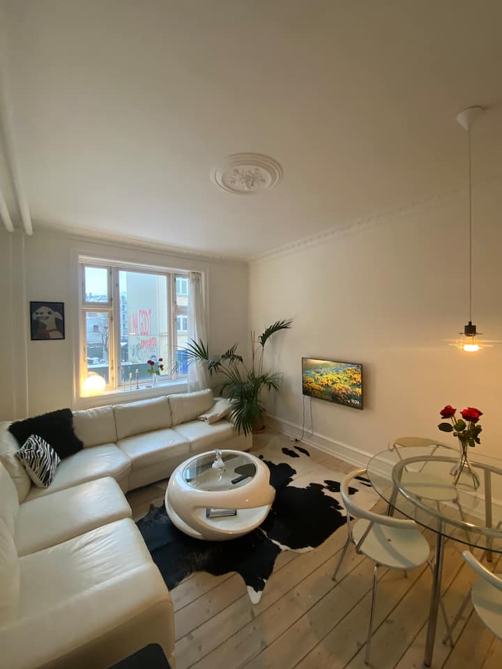 Smuk Og Lys 2-værelses Lejlighed - Copenhague