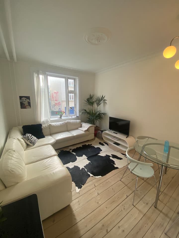 Smuk Og Lys 2-værelses Lejlighed - Copenhague