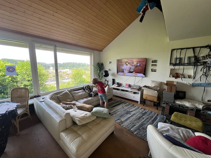 Villa Quadrilla - Fribourg