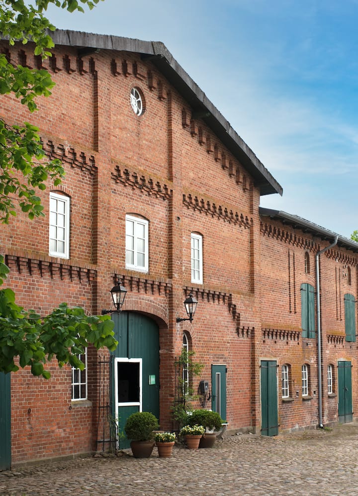 Schierenkoppel
Buchenhof Ratjen - Hohenwestedt