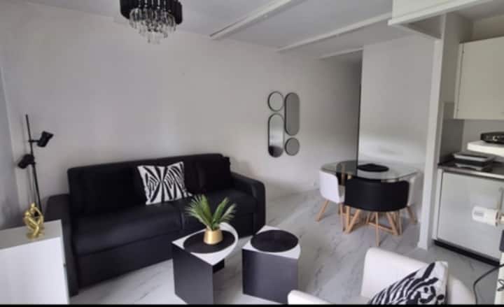 Charmant Appartement 1 Chambre - Aigle