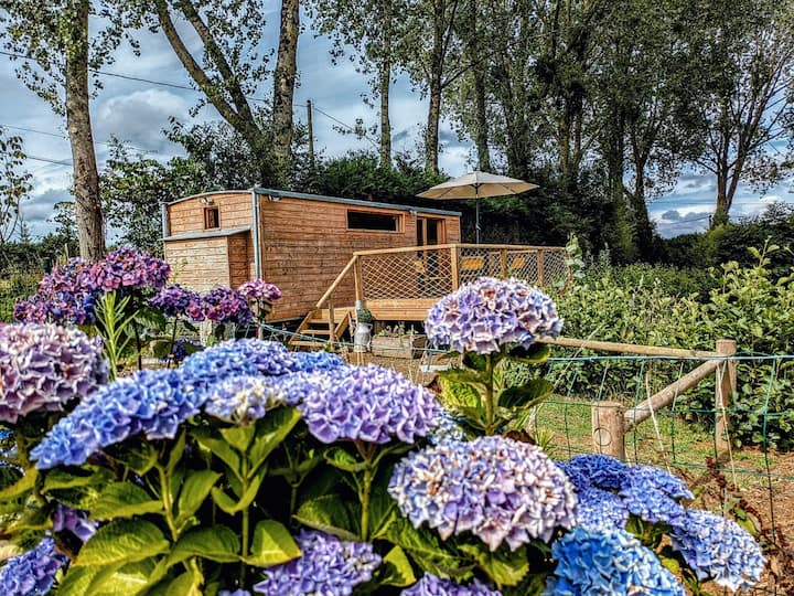 Tiny : Au Silence Des Peupliers - Litteau