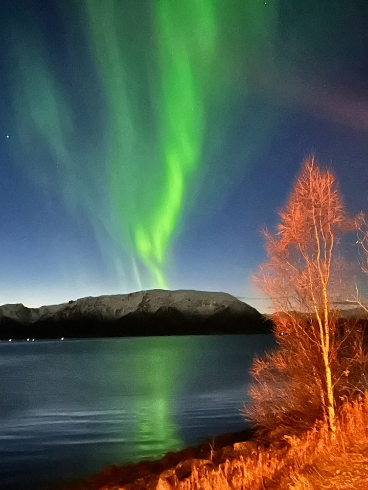 Hytte I Store Lerresfjord. - Alta