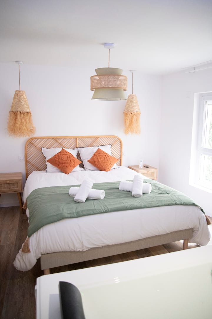 Charmant T2 Avec Balnéo Au Cœur D’angers - Angers