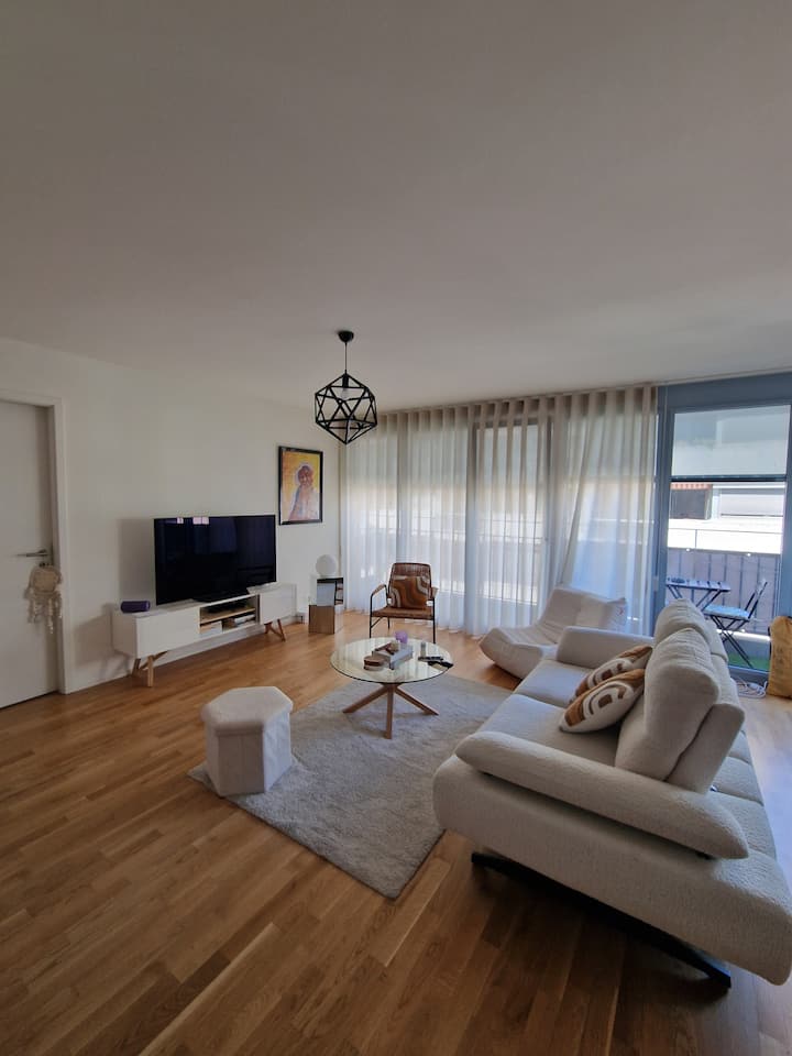 Bel Appartement Lumineux Au Cœur De La Ville - Ginebra