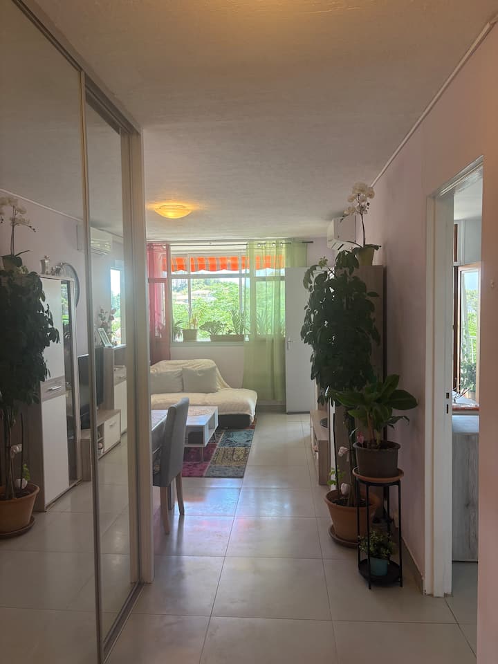 Appartement à Toulon Ouest - Toulon