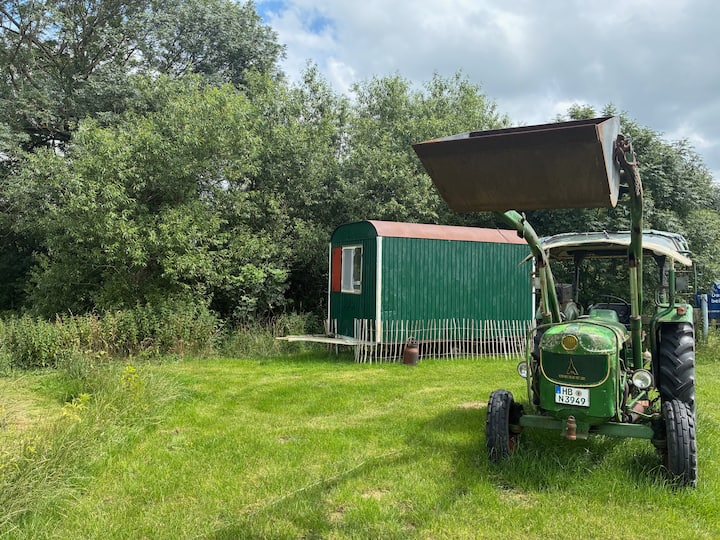 Bauwagen Am Deich In Der Natur - Loxstedt