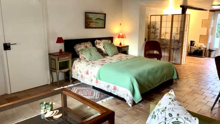 Gite La Rose - Saint-Savin