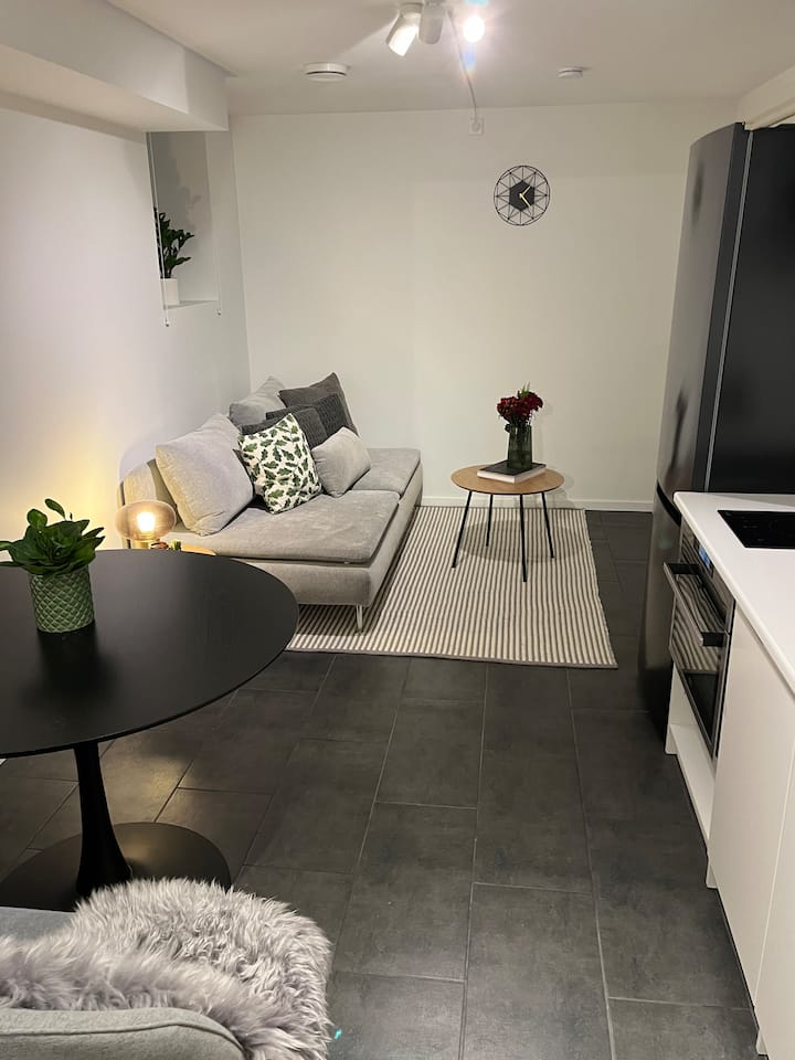 Flott Leilighet For Opp Til 4 Personer På Blindern - Oslo
