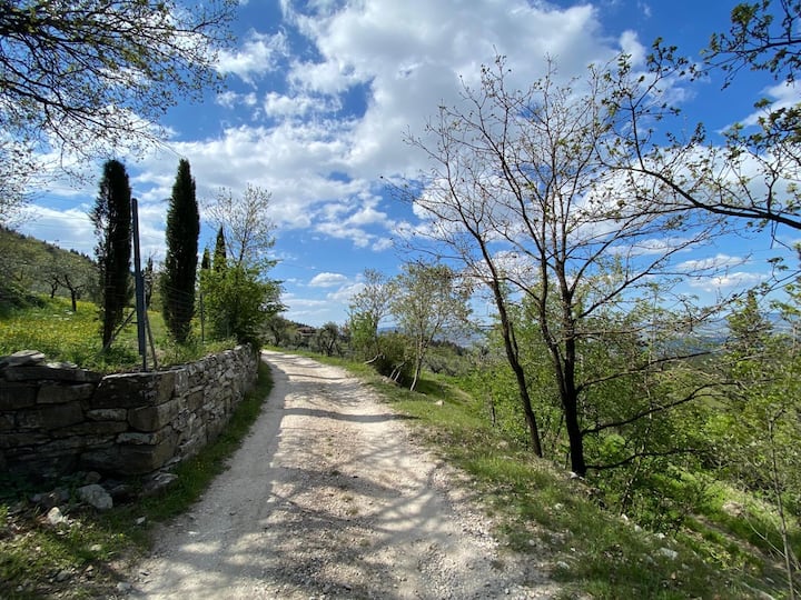 Casa Allegra - Rustico Appartamento Nel Verde - Sesto Fiorentino