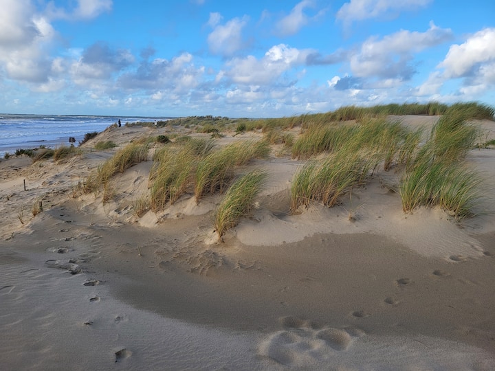 Petite Maison Neuve, 50m Plage Dogfriendly - La Cotinière