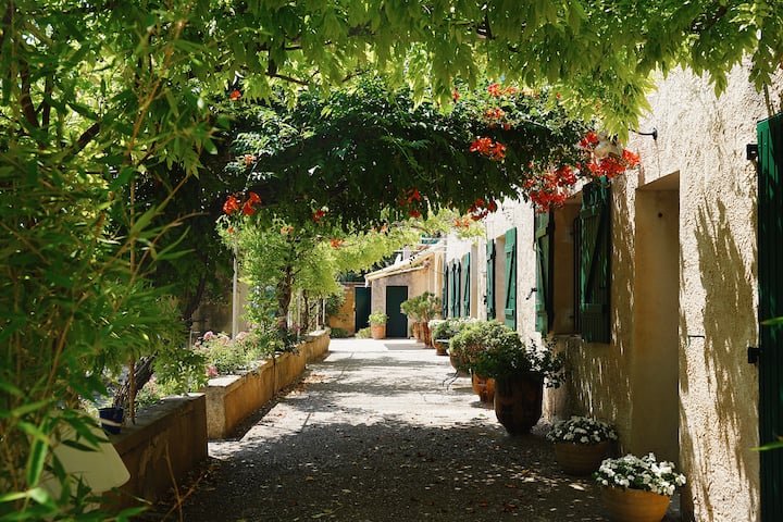 Le Mas Des Chevaux Piscine & Climatisation - Cavaillon
