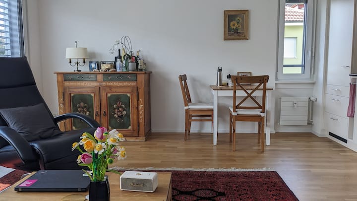 Cozy Studio Bern City Längasse - Berna
