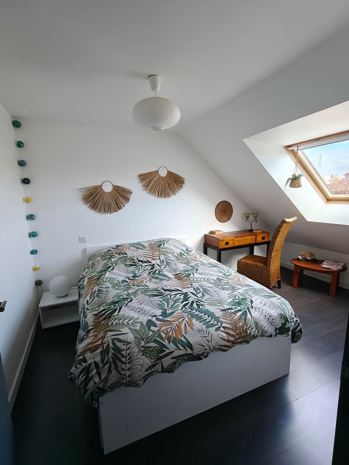 Chambre D'hôte - Port-Louis