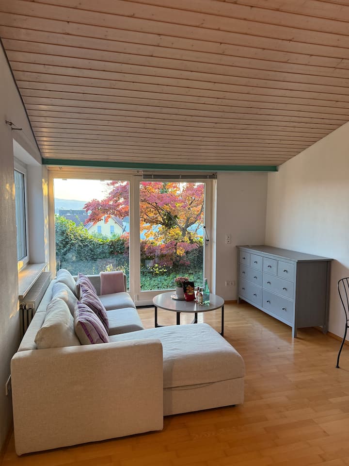 Schöne Wohnung Mit Seeblick - Radolfzell