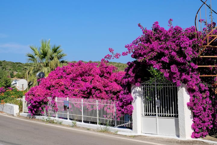 Sea View Studio Apartment 1/2 - Cephalonia