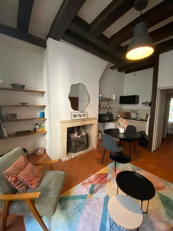Bel Appartement Au Cœur Du Vieux-tours - Tours