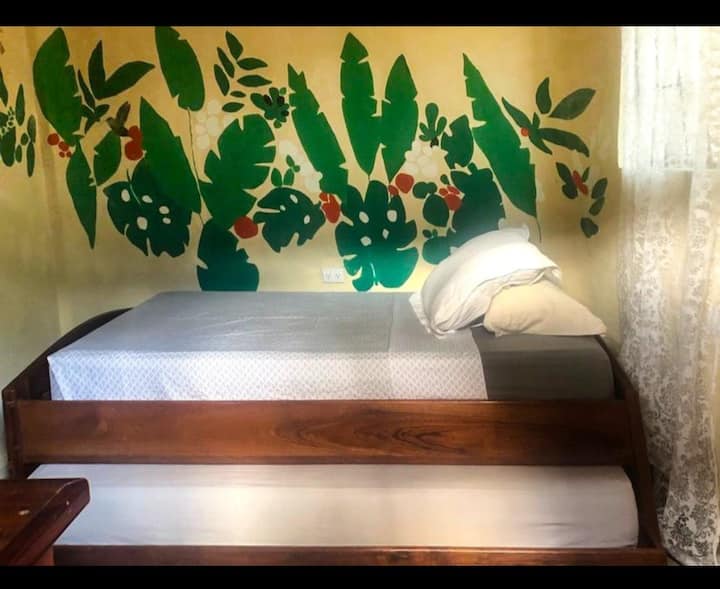 Pequeño Gitsa - Nicaragua