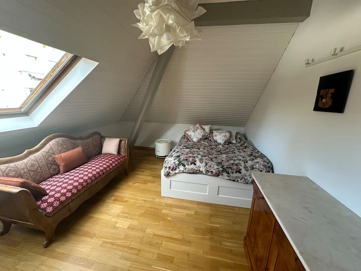 Double Room In The Centre Of Lausanne - Crissier