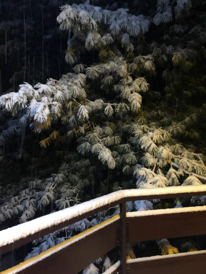 Chalet Legno E Fuoco - Borno