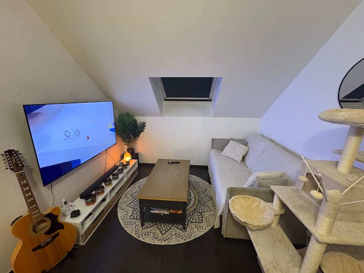 T2 Centre D’albertville - Hauteluce - Les Saisies