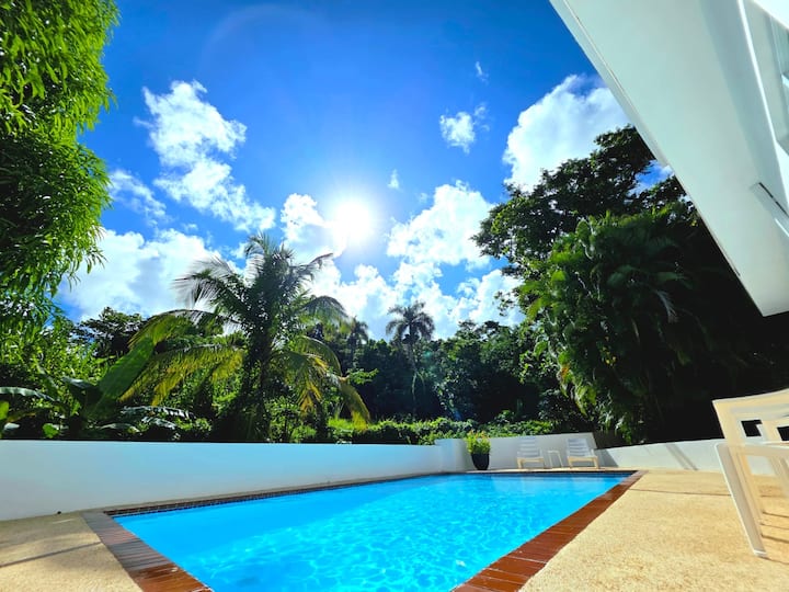 Private Estate2 Homespoolnear El Yunque&beaches - Porto Rico