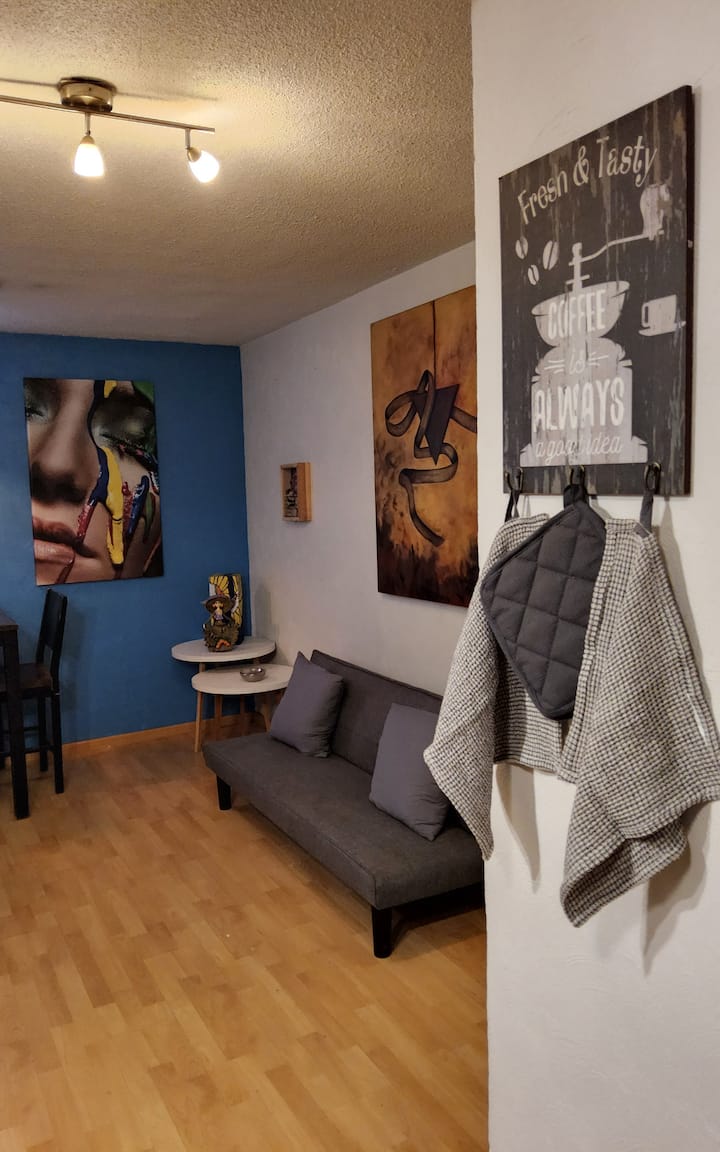 Hermoso Departamento Céntrico - Morelia