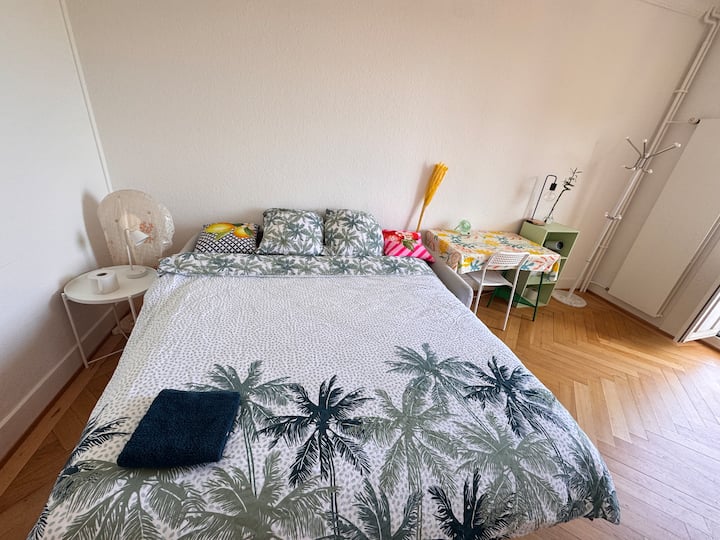 Chambre Rénovée/balcon Privé-1 Min Onu,1 Pers超级的大床 - Geneva