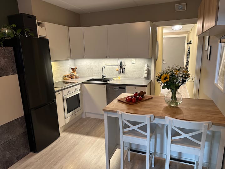 Cozy Apartment In Great Location Near Grünerløkka - Oslo