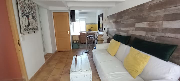 Charmant T2 Avec Jardin à Meze - Sète