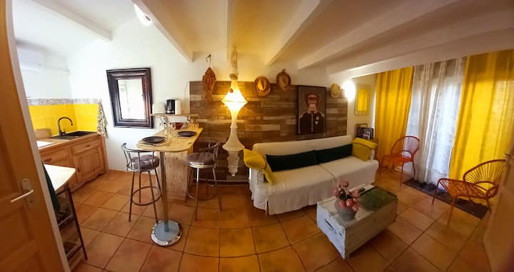 Charmant T2 Avec Jardin  à Meze - Mèze