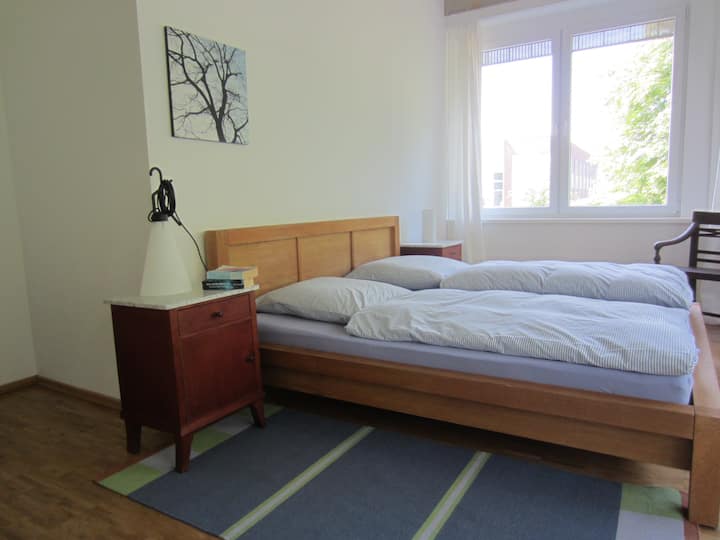 K9 Apartment Mit Balkon - Münster