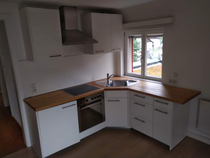 Gemütliche Wohnung - Tübingen