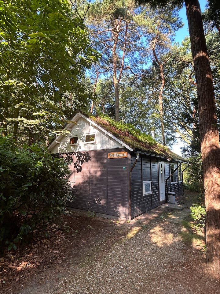 Gezellig Zomerhuisje Aan Weiland - Amersfoort