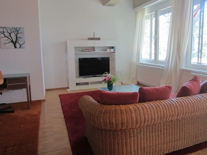 K9 Apartment Mit Balkon - Munster, Germany