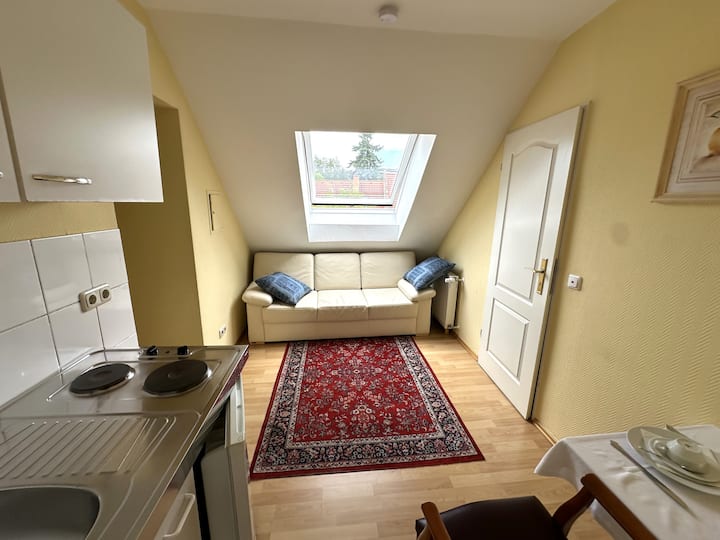 Möbliertes 1,5-zimmerapartment - Mainz