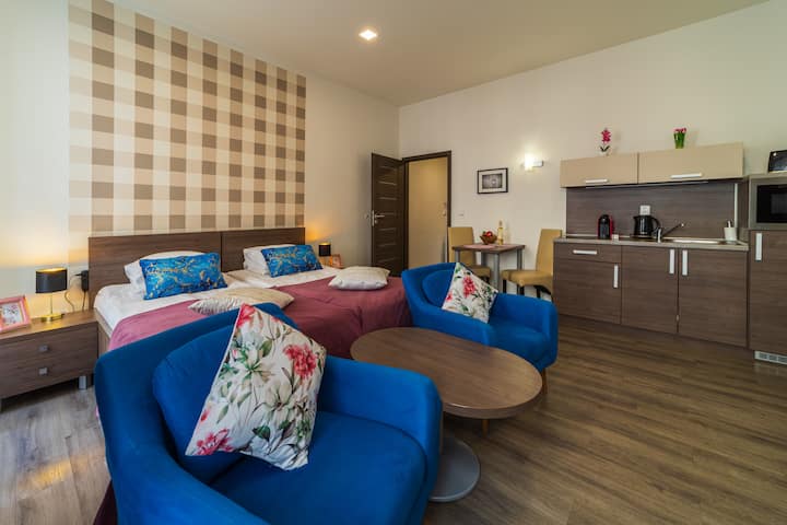 Residence Old Town Studio 1c - Praga