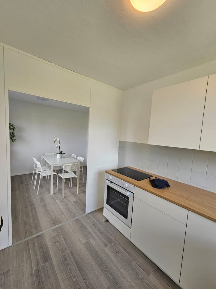 Appartement Im Altbau-charme / Og - Neuenburg am Rhein