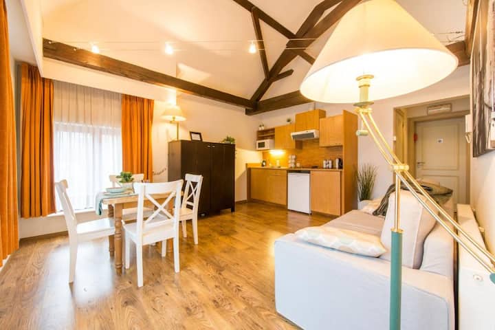 Spacious Flat Historic Center With Elevator - Brujas